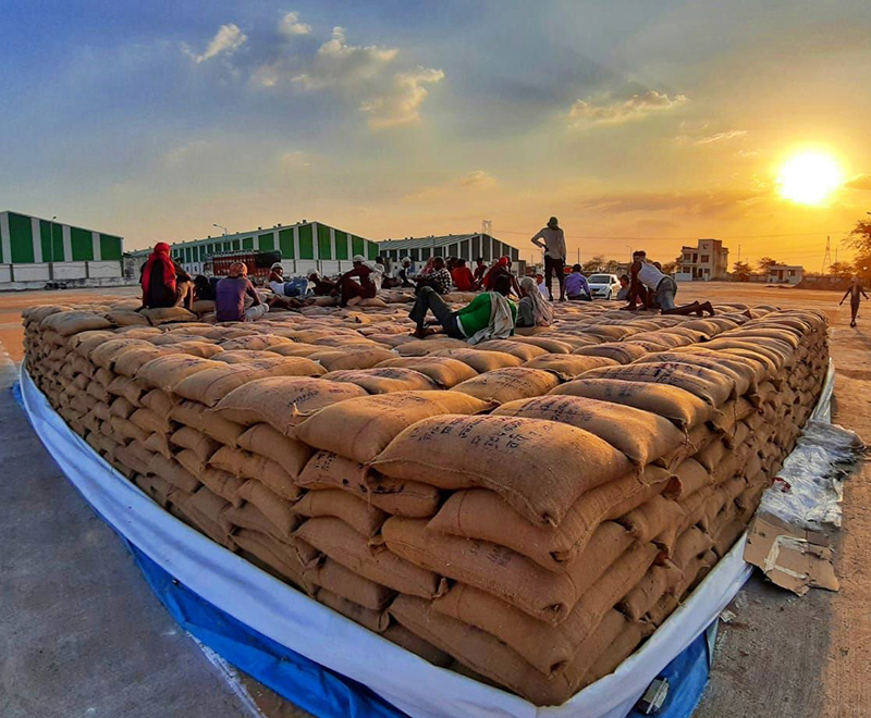 Golden Crop - Exporting Agricultural products